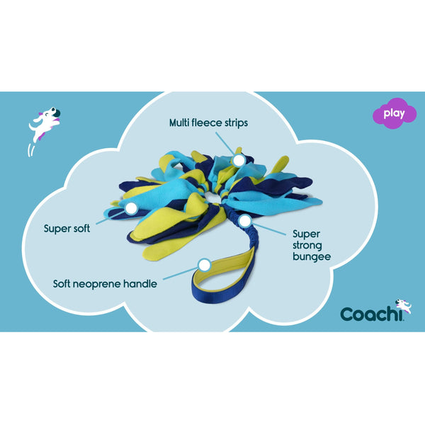 Coachi Tuggi Spider – CANIS CALLIDUS Quality Dog Supplies from Europe